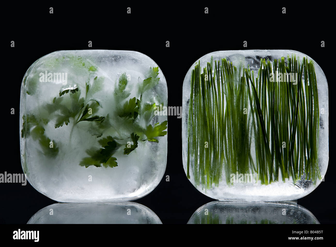 Frozen herbs hi-res stock photography and images - Alamy