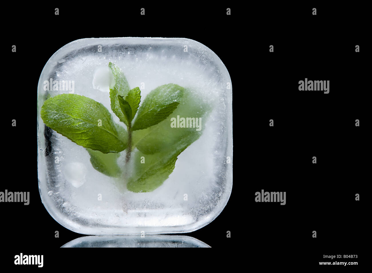 Frozen goodness hi-res stock photography and images - Alamy