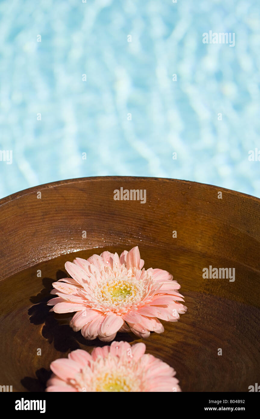 Flowers floating in a bowl Stock Photo - Alamy