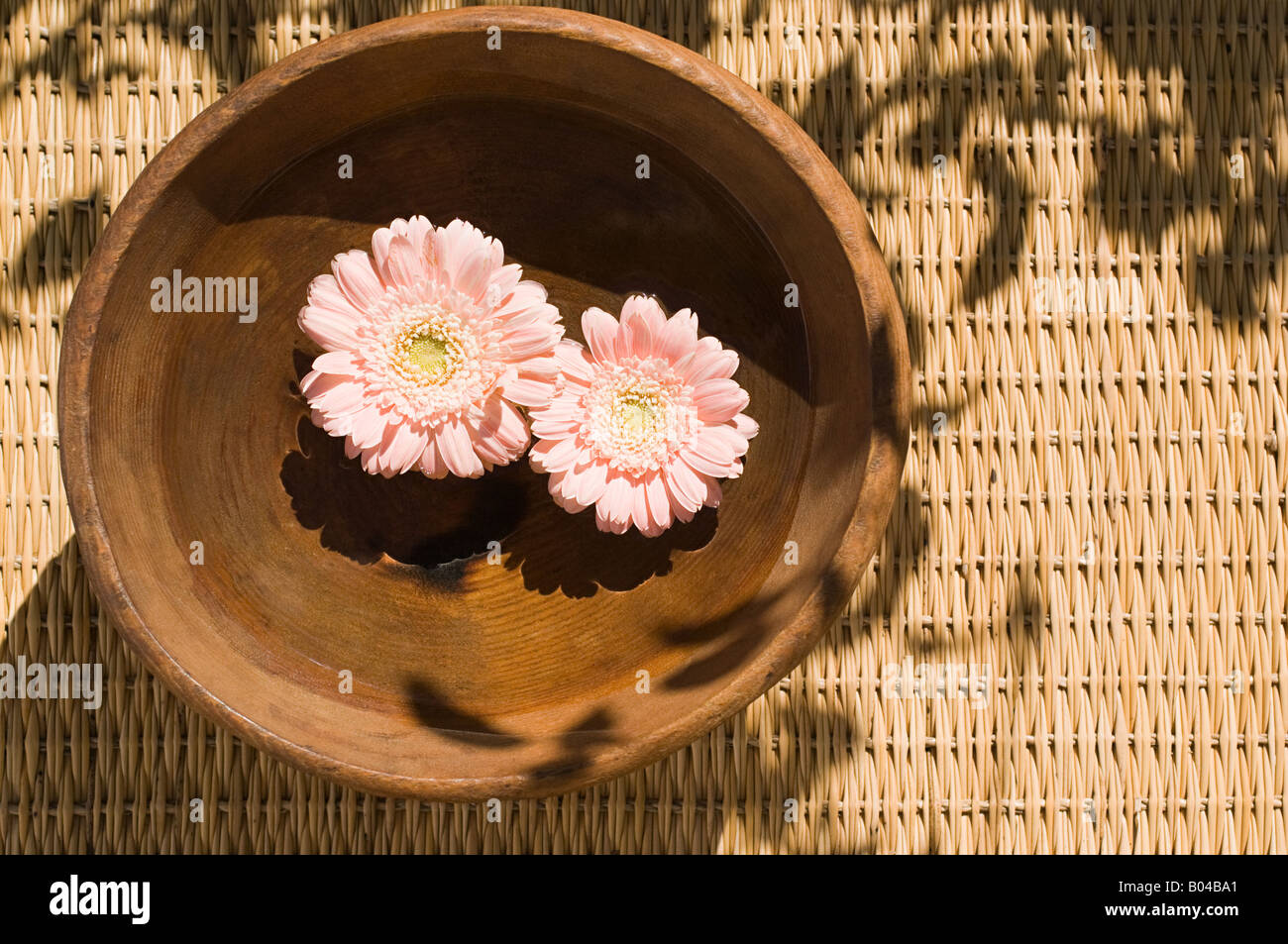 Flowers floating in a bowl Stock Photo - Alamy
