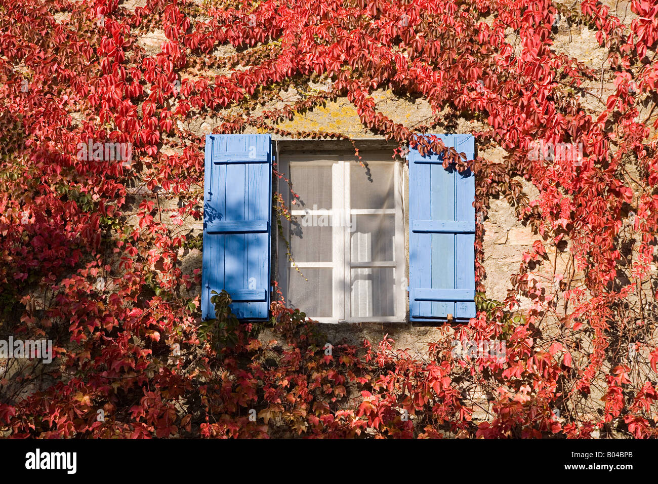 Ivy window hi-res stock photography and images - Alamy