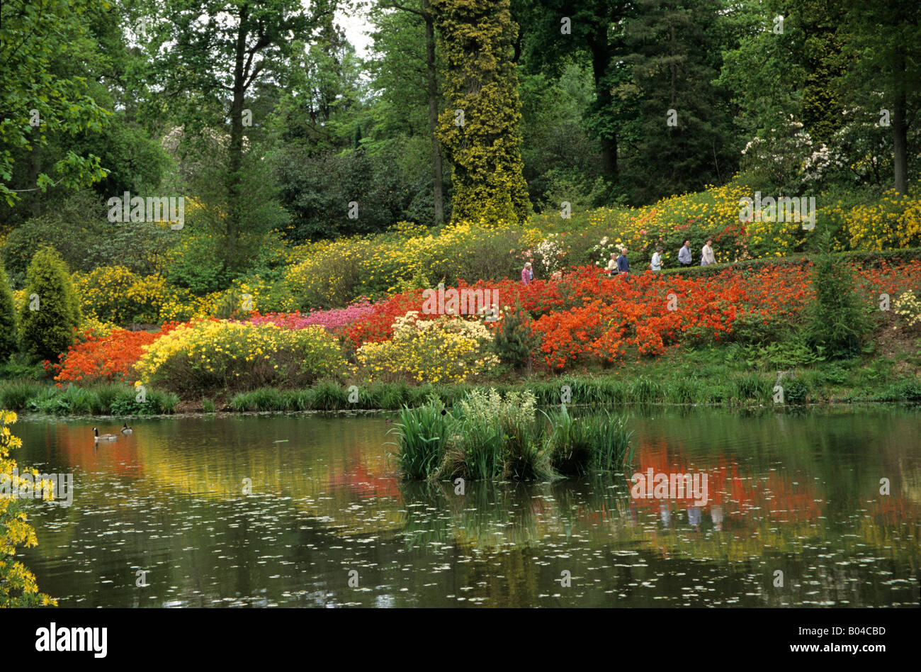 Leonardslee Gardens Lower Beeding West Sussex one of England s most ...
