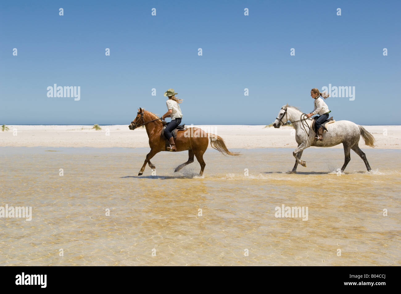 Girl two horses hi-res stock photography and images - Alamy