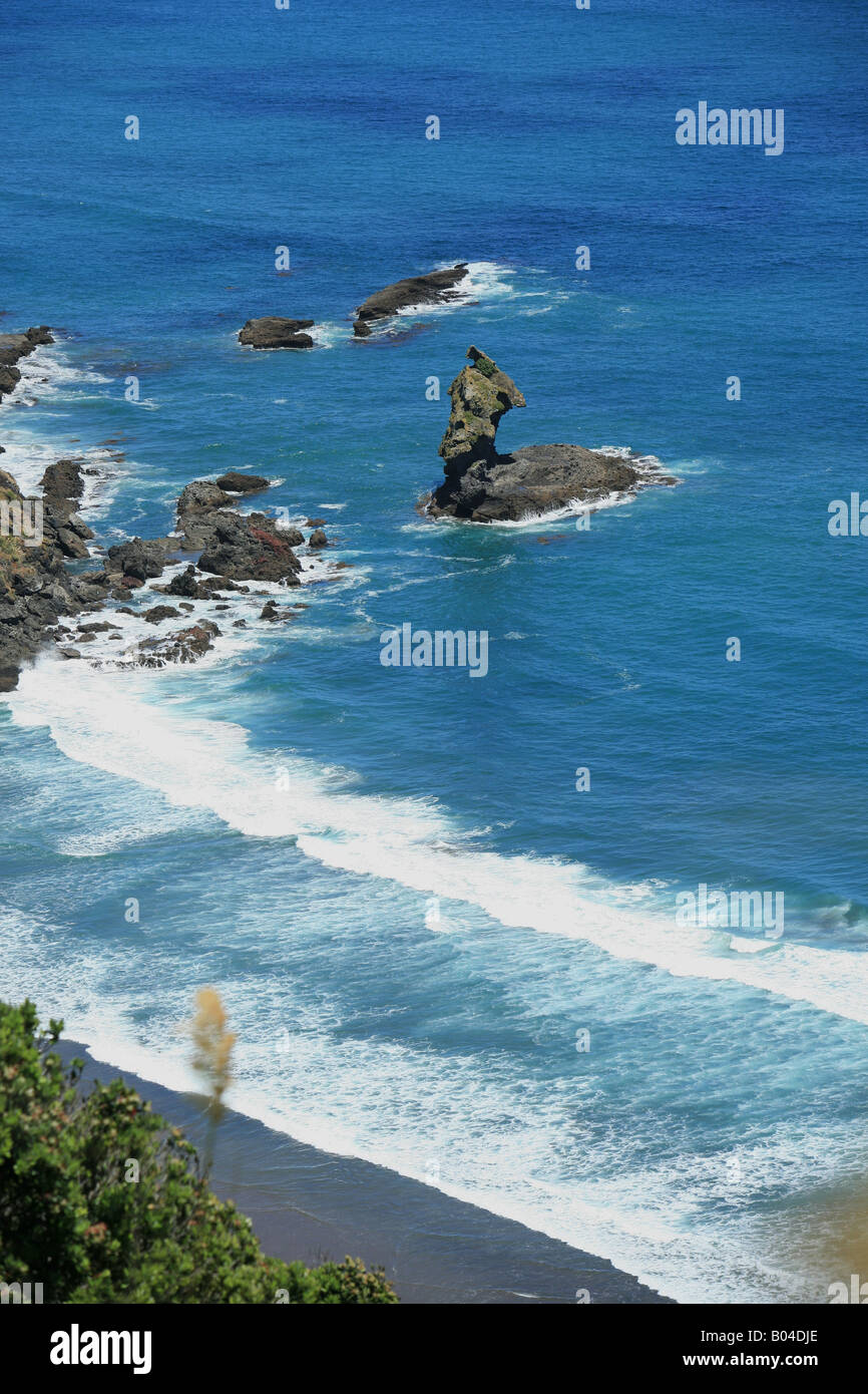 Piha featuring Lion rock from Tasman lookout track North island New ...