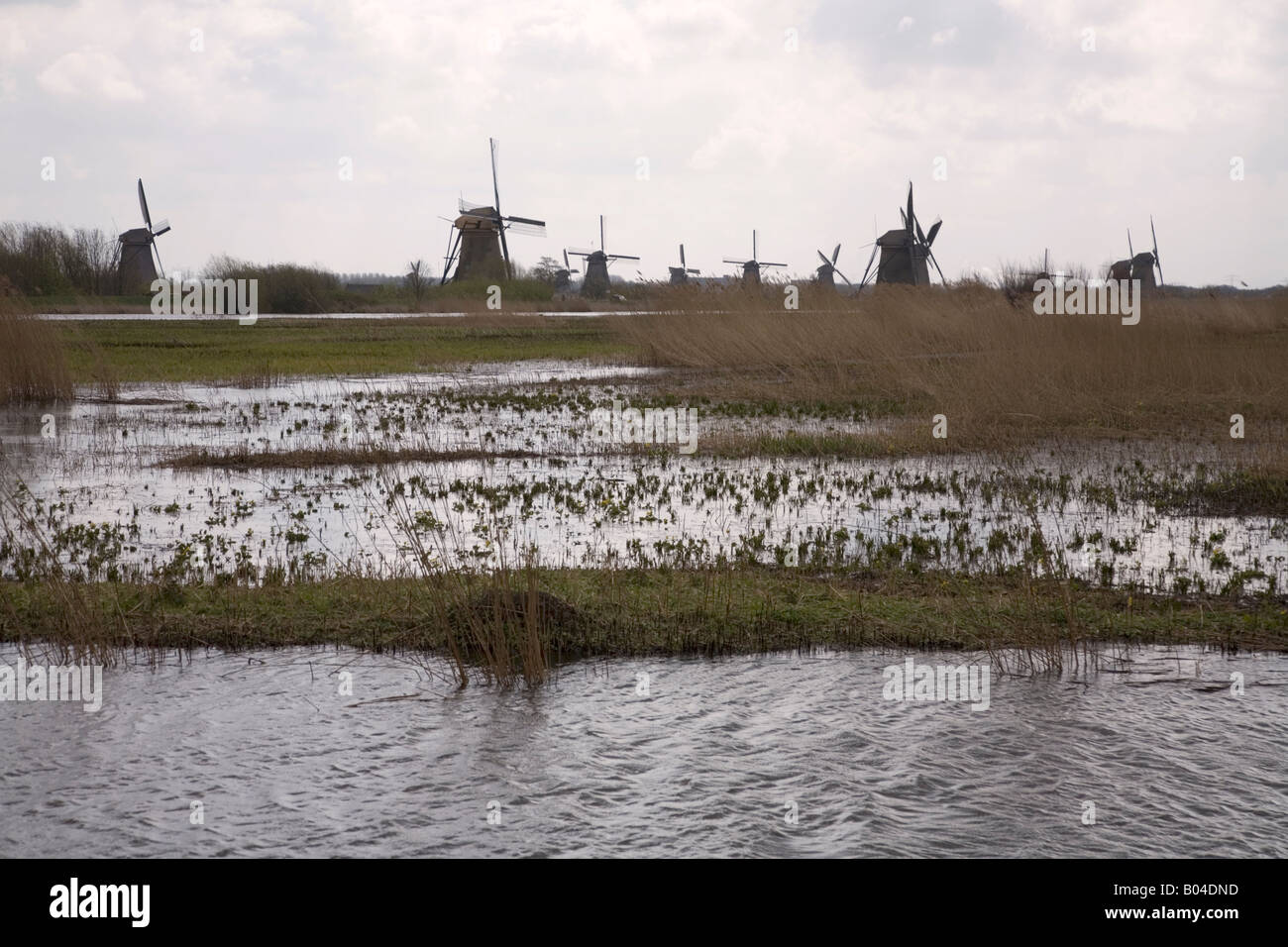 Windmills and marshland habitat at Kinderdijk, Holland. The Netherlands ...