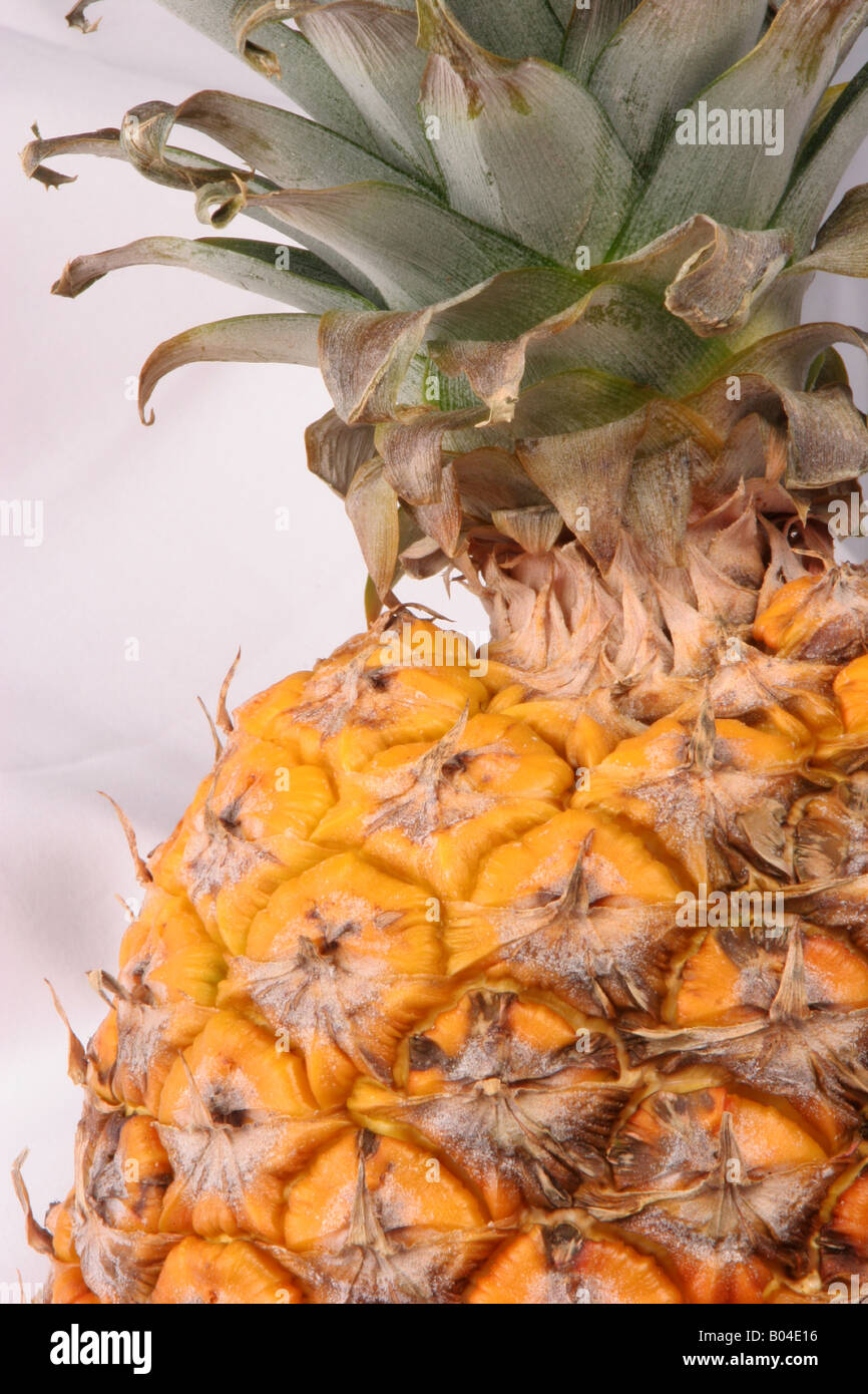 A ripe Pineapple Stock Photo - Alamy