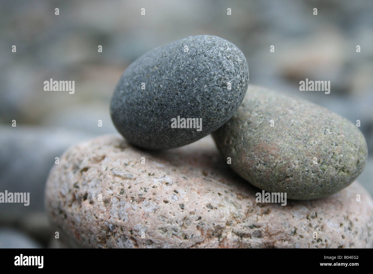Pebbles on a shingle beach Stock Photo - Alamy