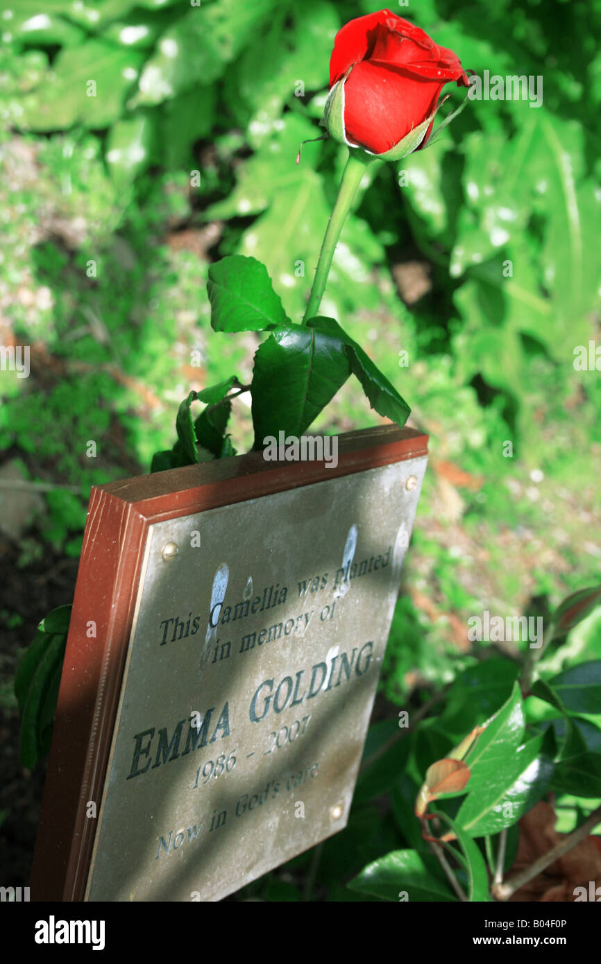 A red rose placed by a memorial Stock Photo - Alamy
