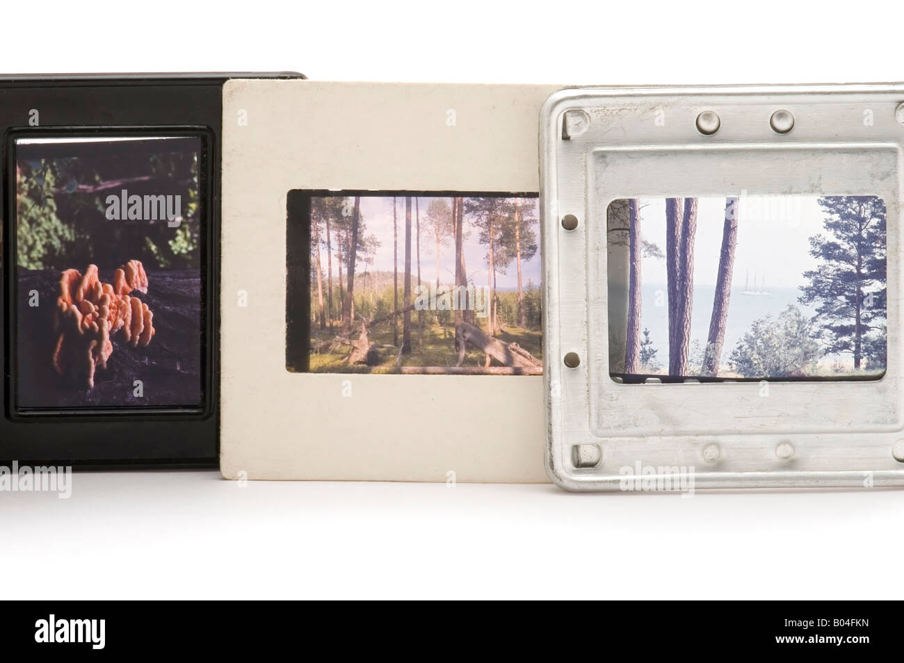 series object on white photographic film Stock Photo - Alamy