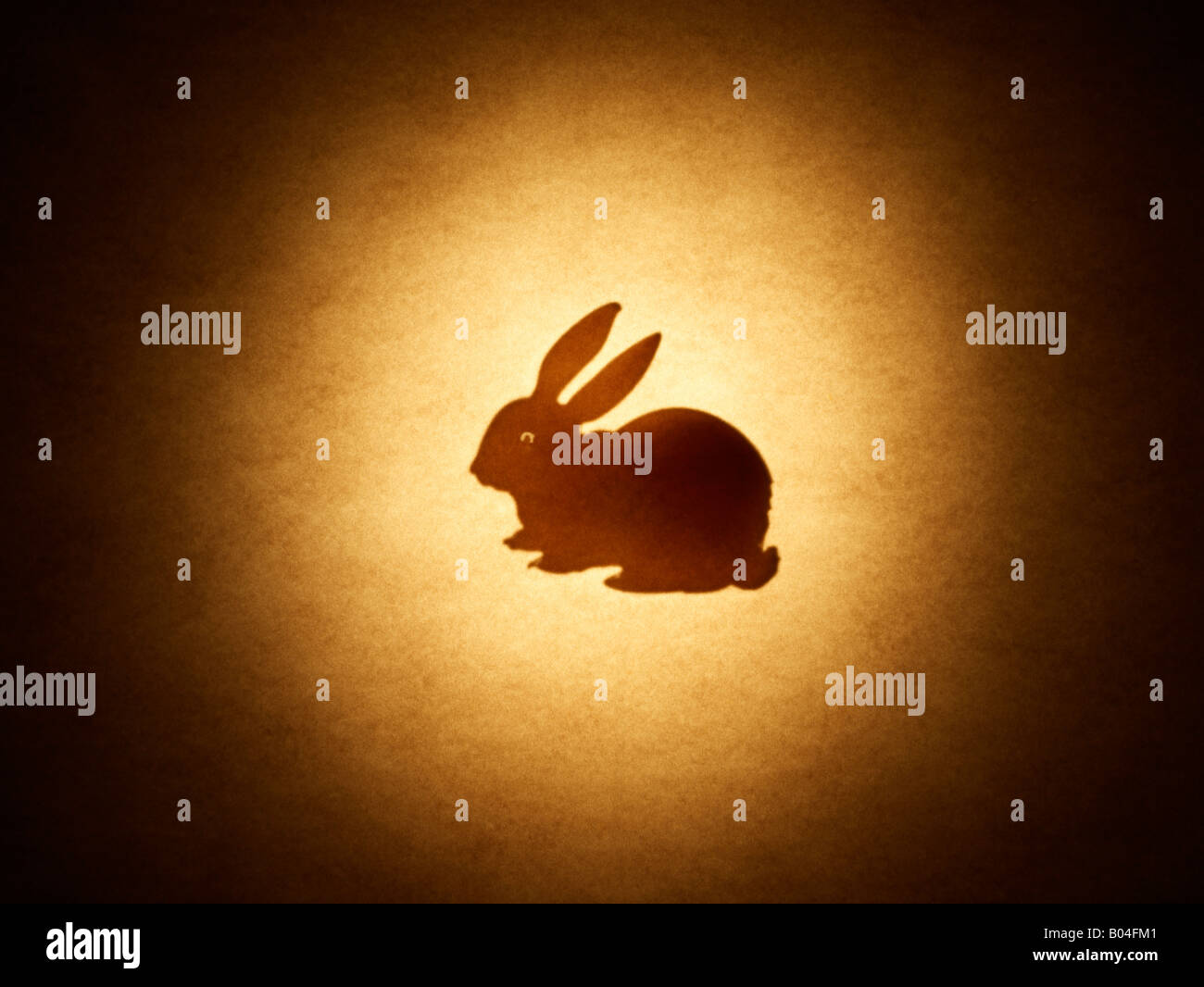 Black rabbit shadow hi-res stock photography and images - Alamy