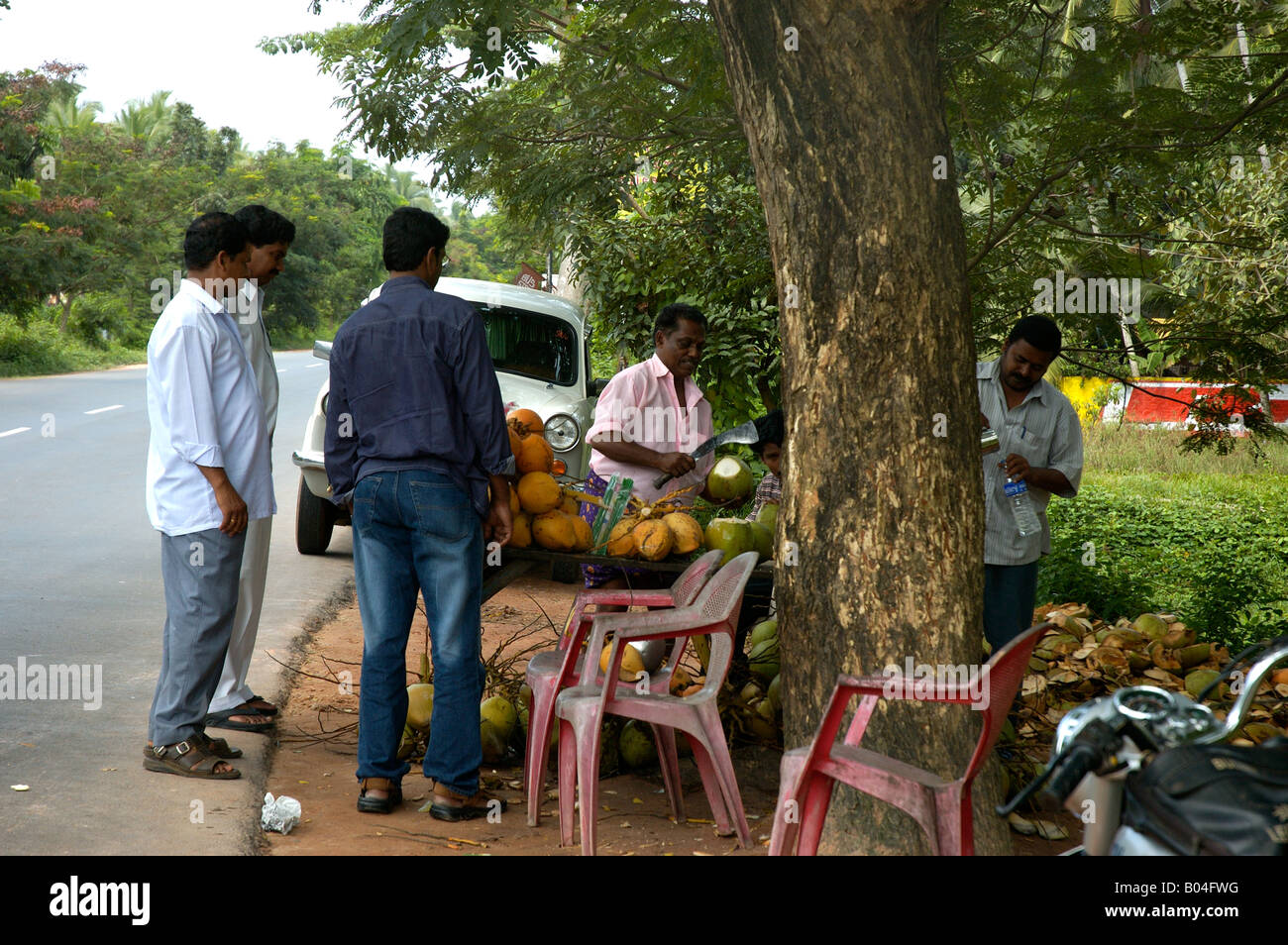 Coconuts coconut water milk for sale on roadside in Trivandrum ...