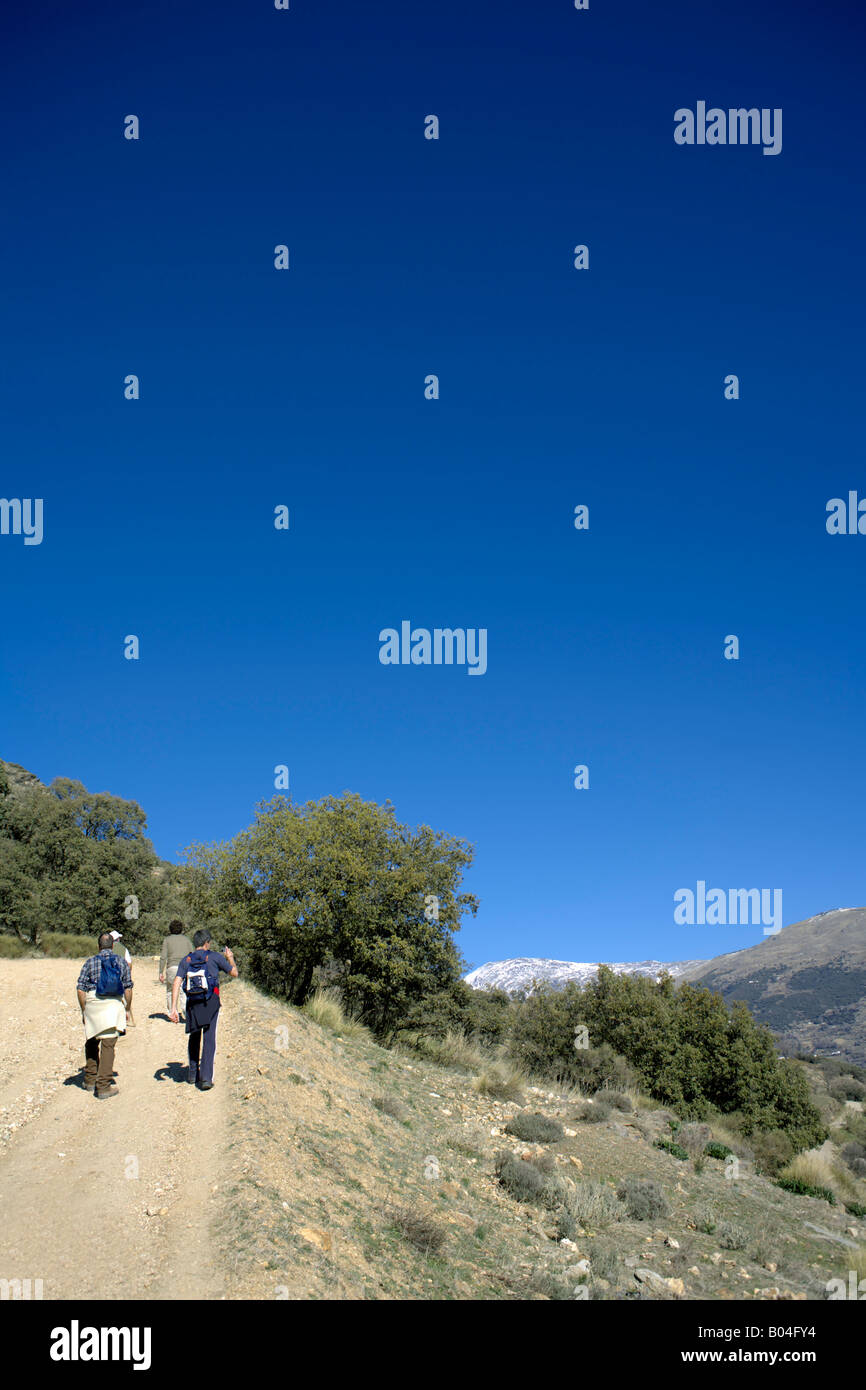 People walking in Las Alpujarras mountain range near Bubion, Granada ...