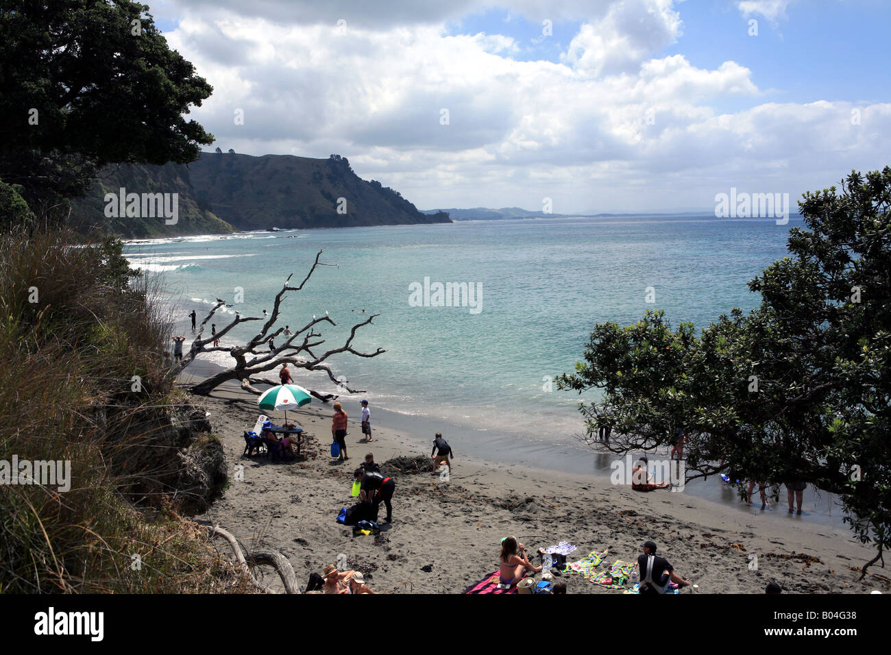 Cape Rodney marine reserve at Goat Island North Island New Zealand ...