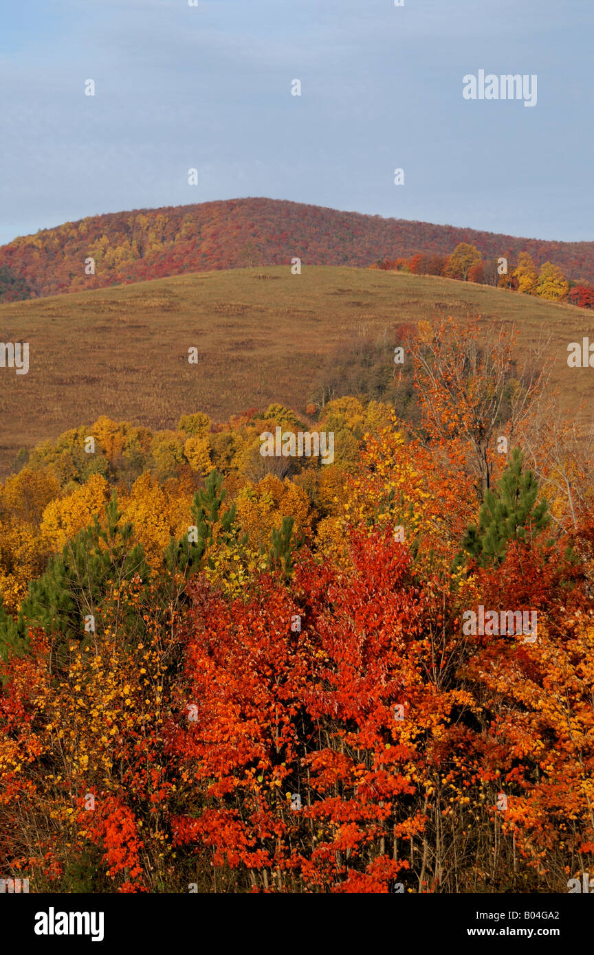colorful autumn hill with trees Stock Photo - Alamy