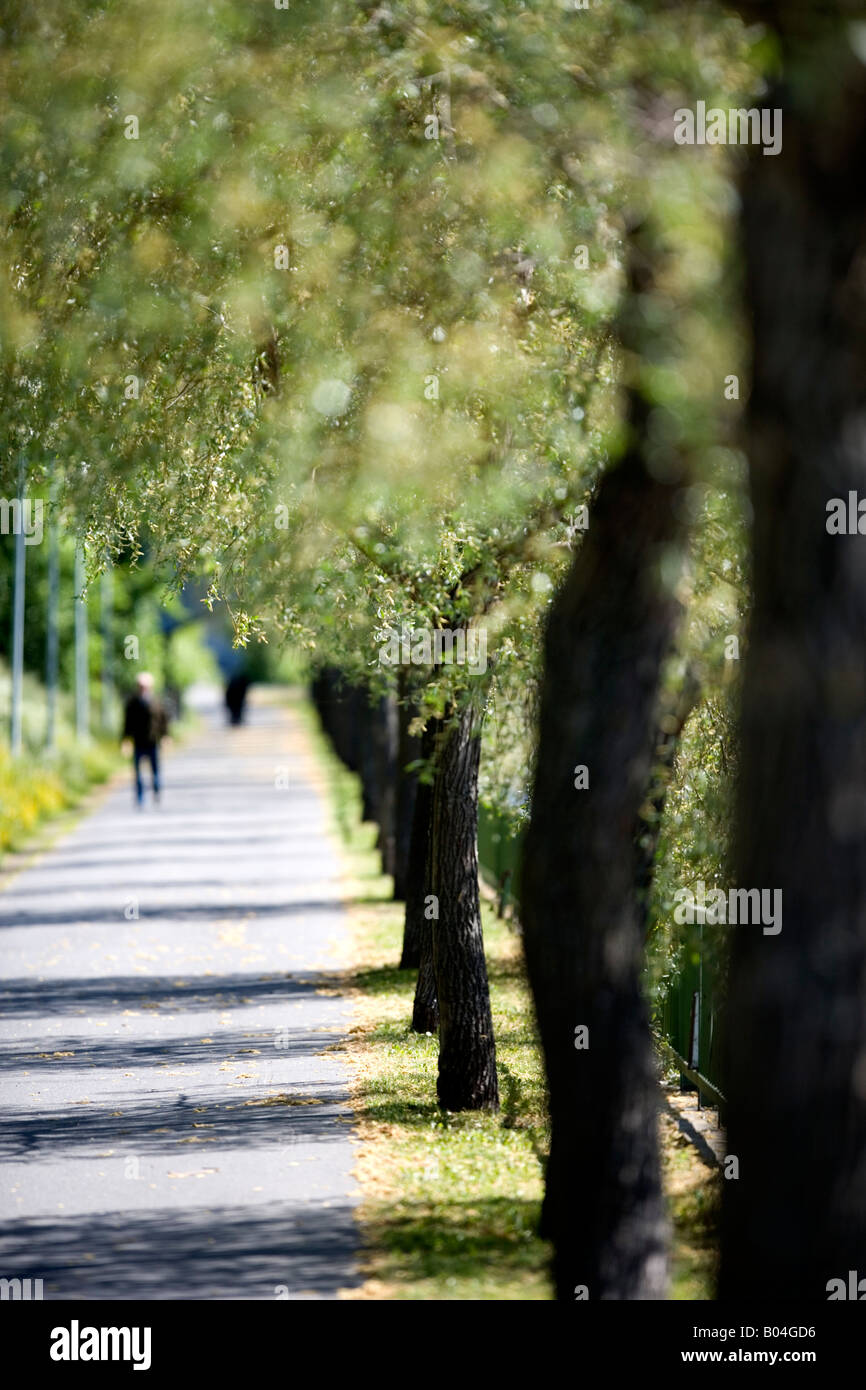 bikeway people person biking bicycle path bike , Finland Stock Photo ...