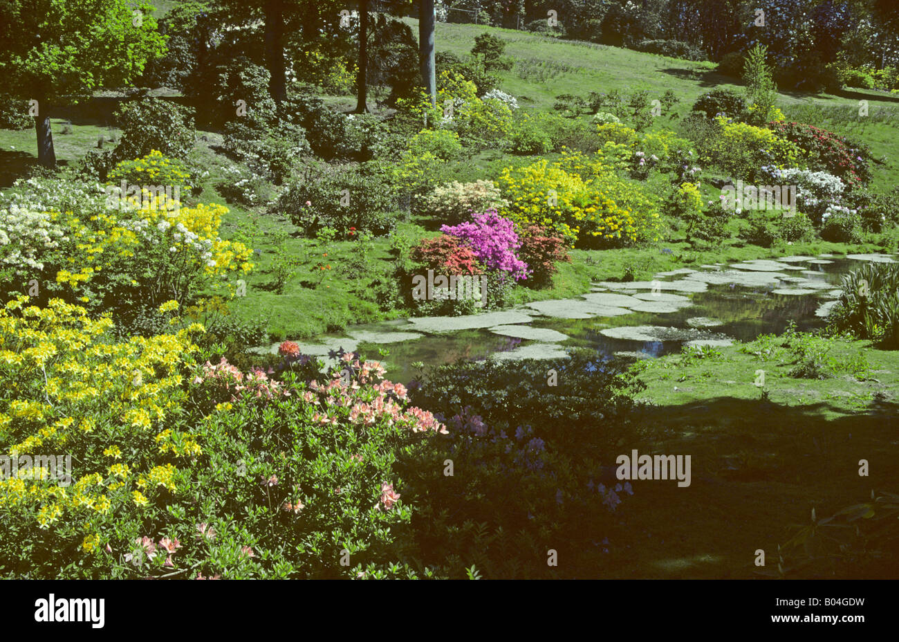 Top Ponds Leonardslee Gardens Lower Beeding West Sussex one of England ...