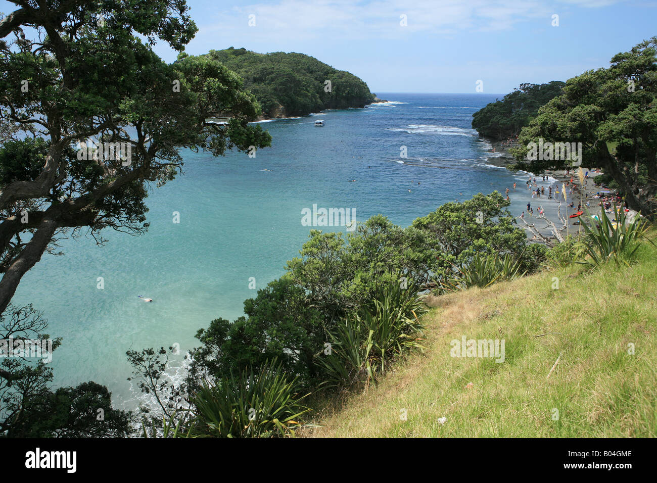 Cape Rodney marine reserve at Goat Island North Island New Zealand ...