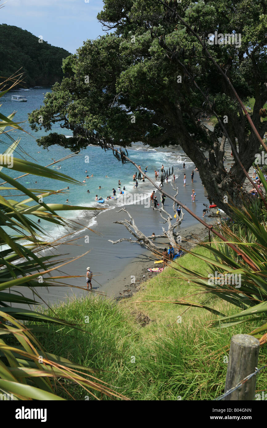 Cape Rodney marine reserve at Goat Island North Island New Zealand ...