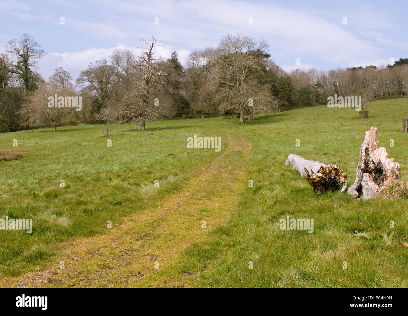 Pathway through open field with fallen rotted tree stump Stock Photo ...