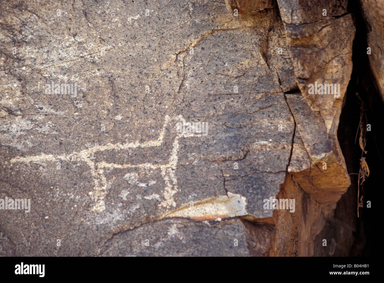 Native american wolf petroglyphs hi-res stock photography and images ...