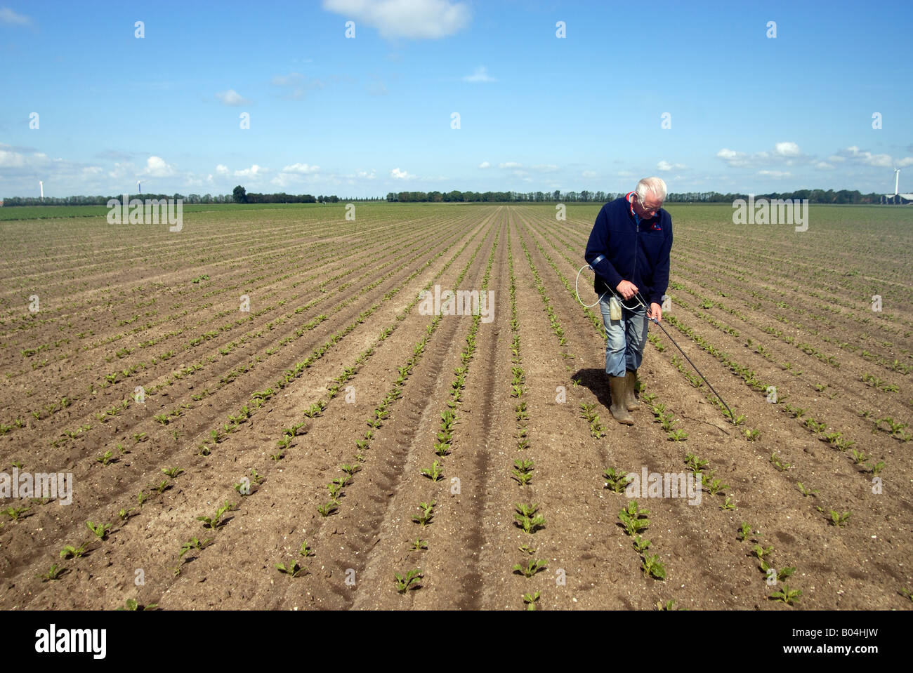 farmer spraying crop by hand in field Stock Photo - Alamy