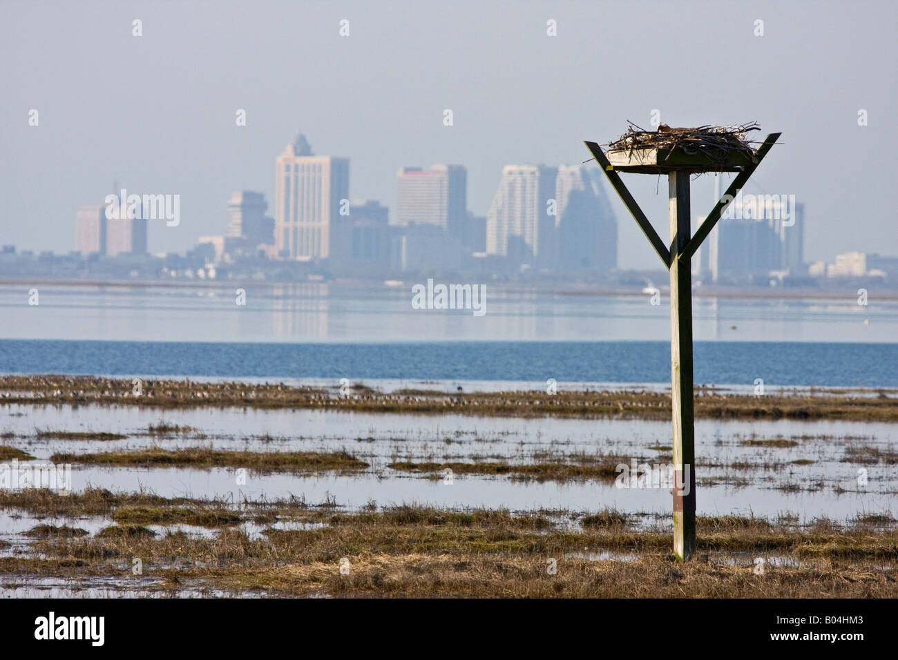 Man made Osprey Nesting platform with Altantic City NJ in background ...