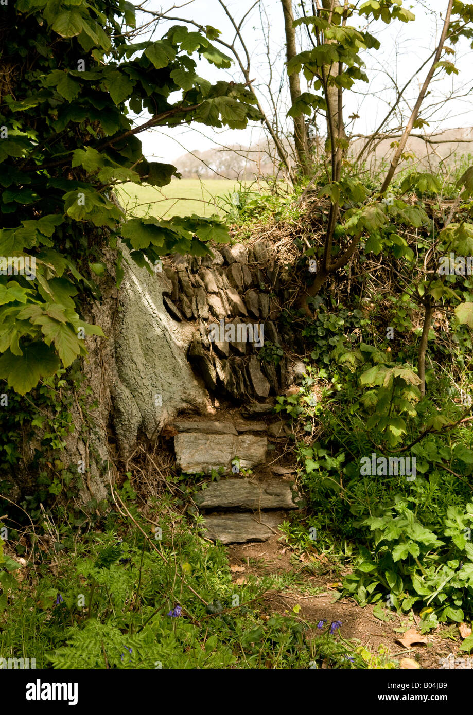 Stile over Cornish hedge Stock Photo - Alamy