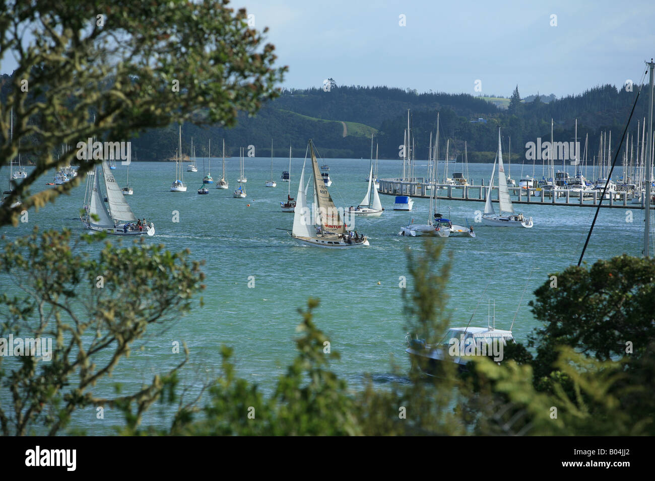 Okiato New Zealand High Resolution Stock Photography and Images - Alamy