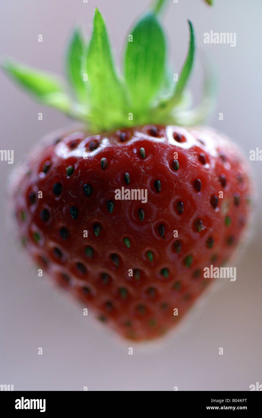 A Close up image of an English Strawberry set against a pastel ...