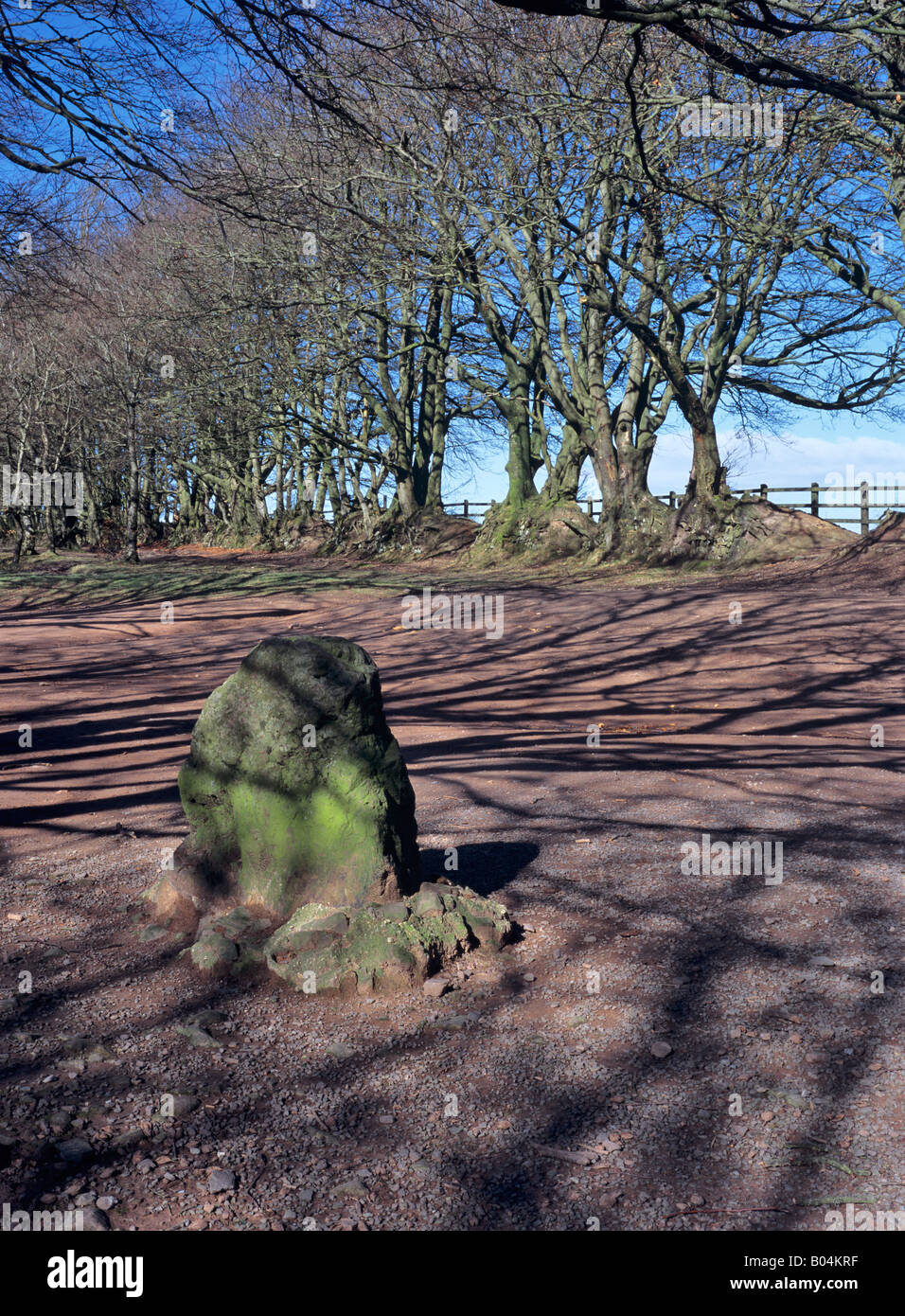 Triscombe stone hi-res stock photography and images - Alamy