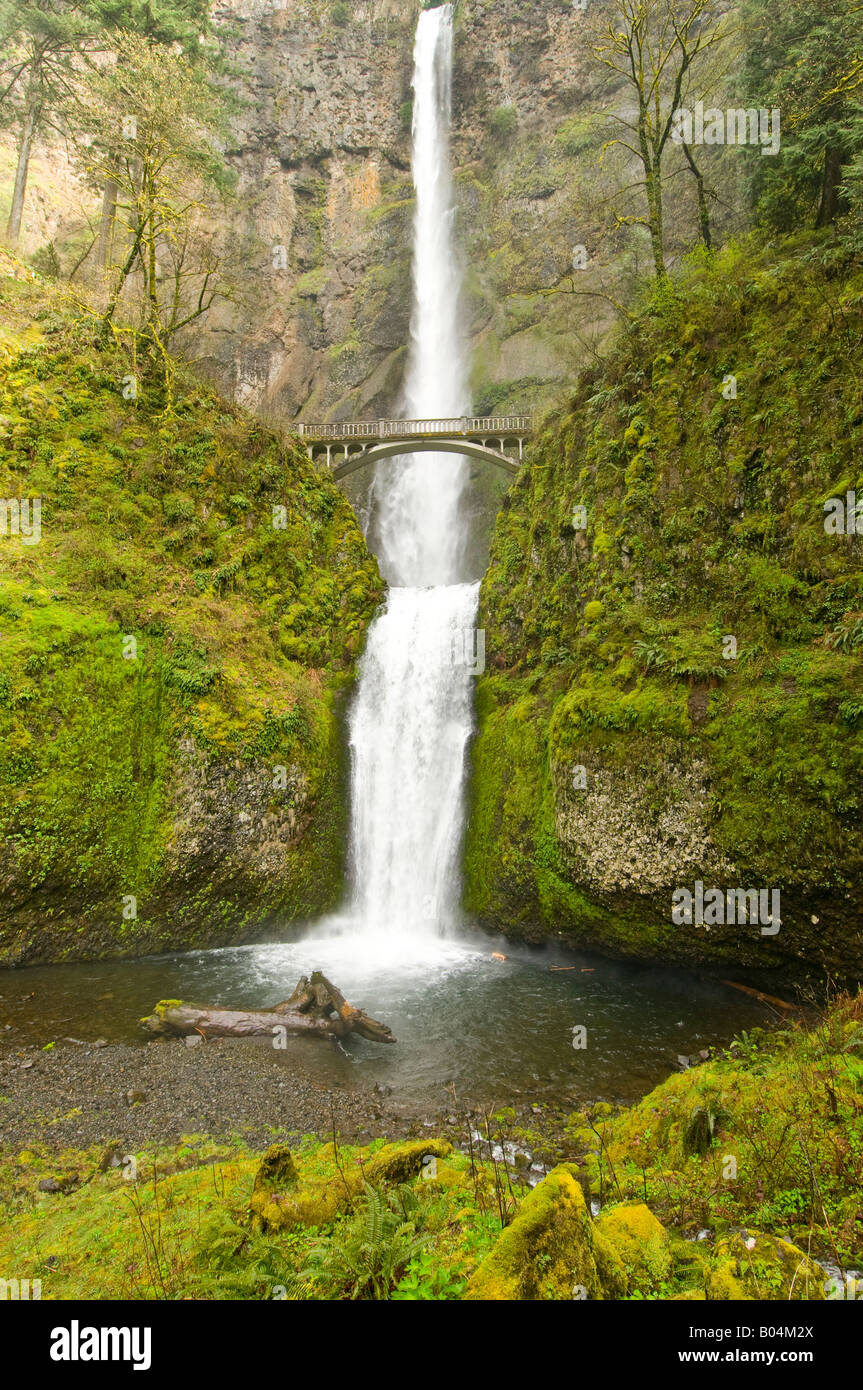 Oregon. Multnomah falls. Lush moss covers the landscape in this ...
