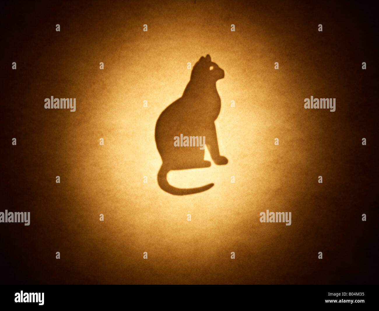 Halo cat hi-res stock photography and images - Alamy