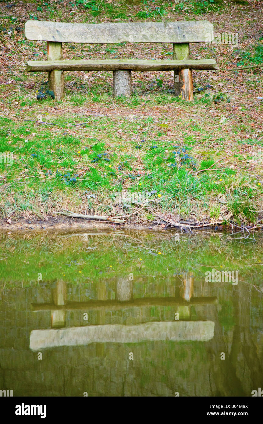 Bench reflection on the pond, portrait photograph Stock Photo - Alamy