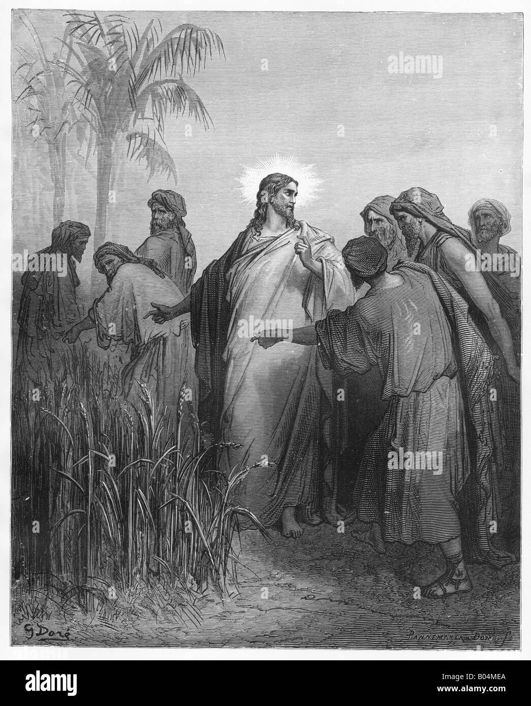 Jesus and his Disciples in the Corn Field Stock Photo - Alamy