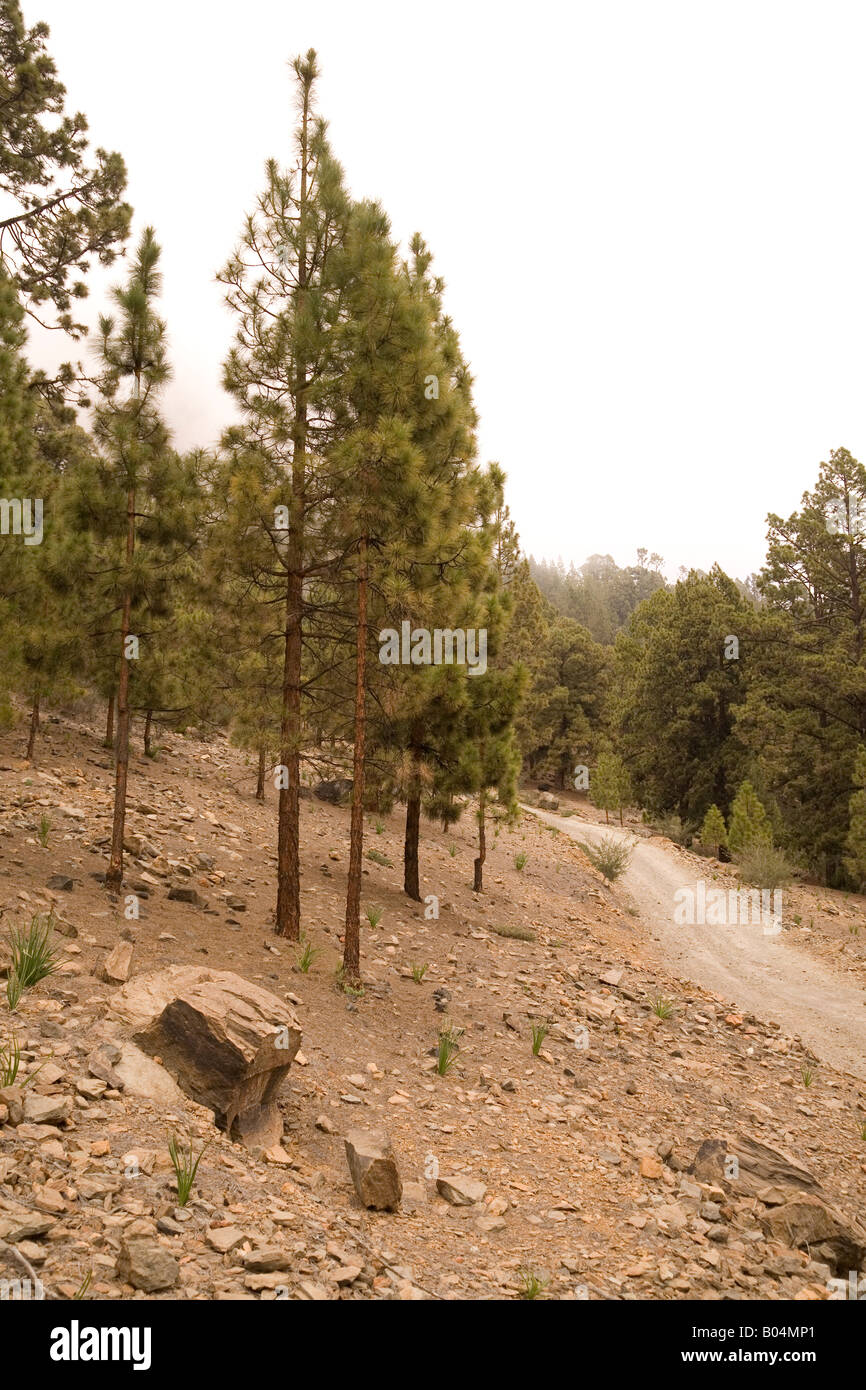 Unmade road hi-res stock photography and images - Alamy