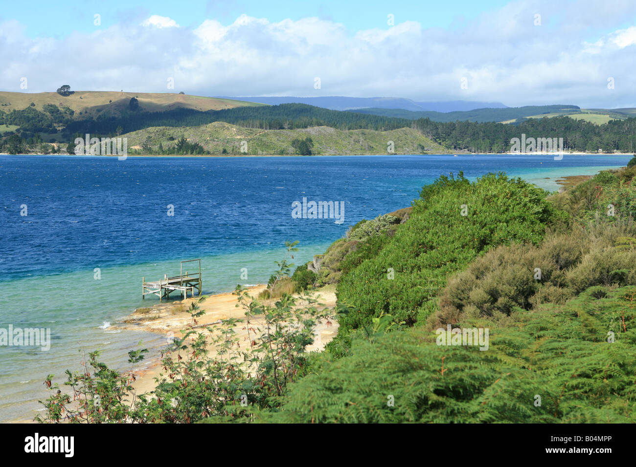 Kai-Iwi lakes Taharoa region North Island New Zealand Stock Photo - Alamy
