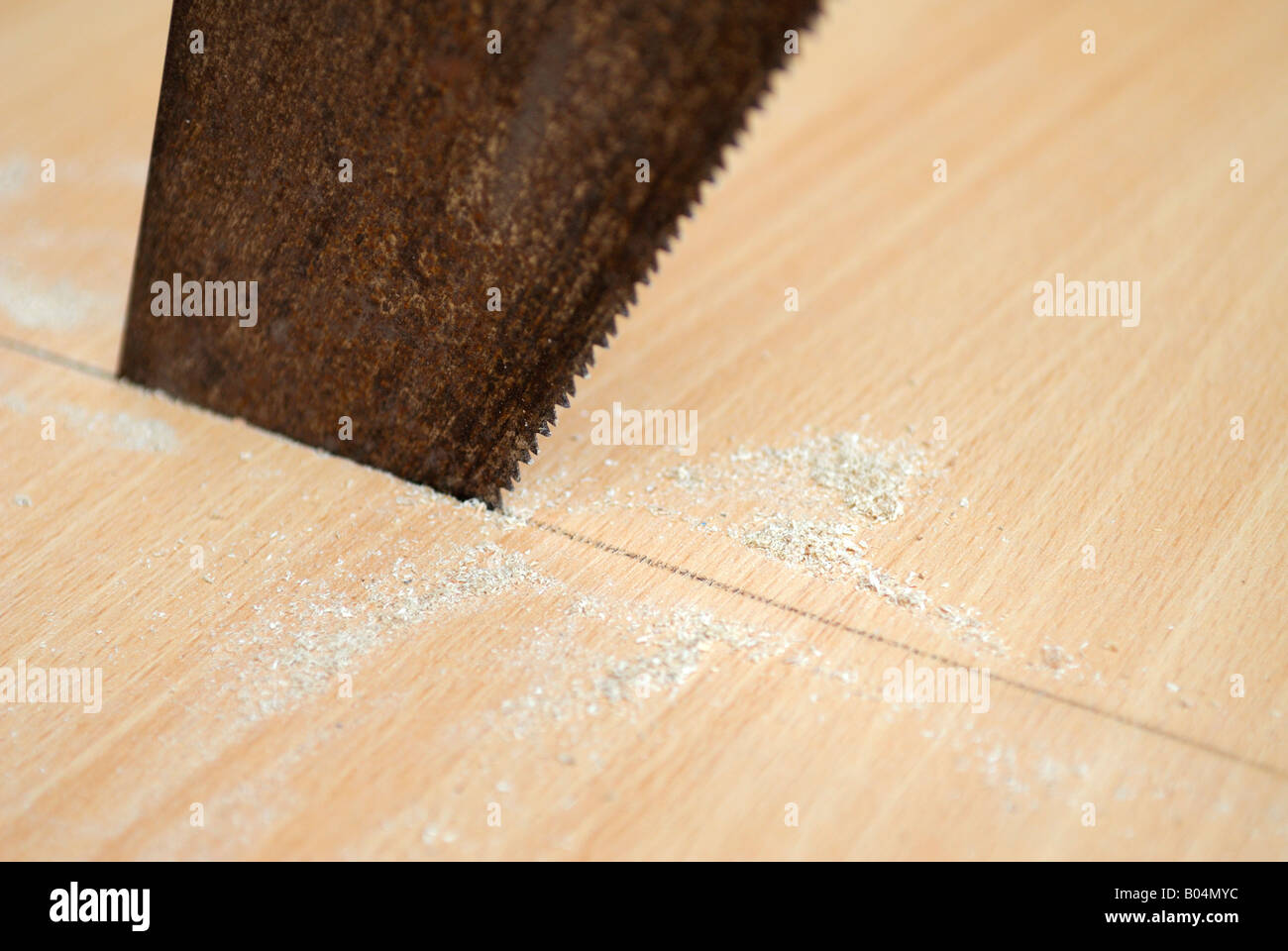 Saw Cutting Through Wood Stock Photo - Alamy
