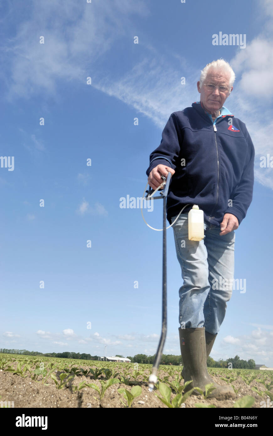 farmer spraying crop by hand in field Stock Photo - Alamy