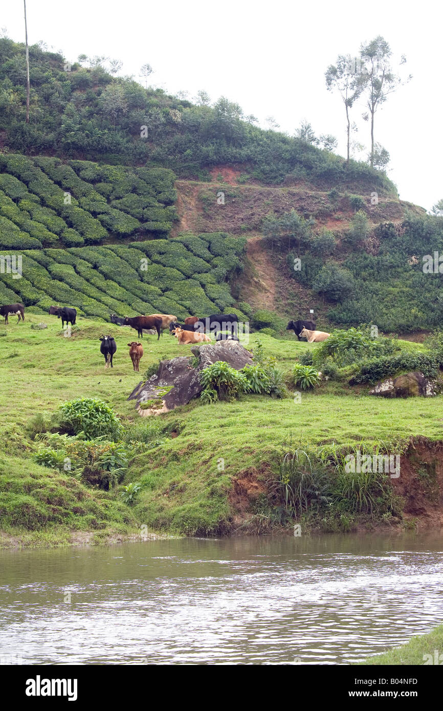 Undulating mountain ranges hi-res stock photography and images - Alamy