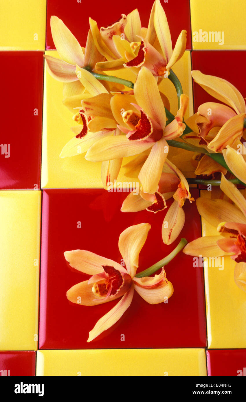 Yellow and red orchards Stock Photo - Alamy