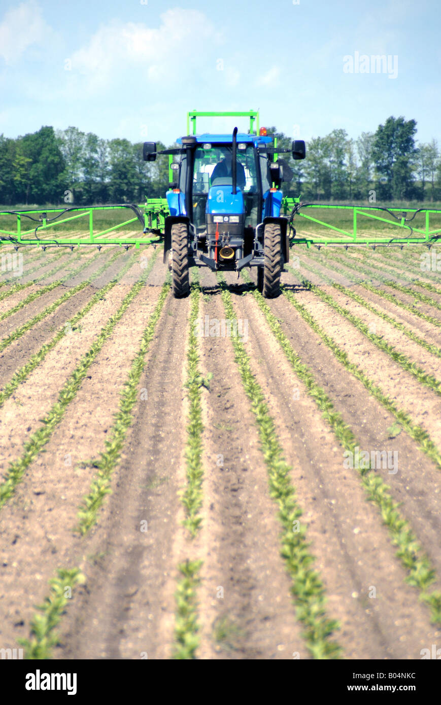 tractor spraying crops Stock Photo - Alamy