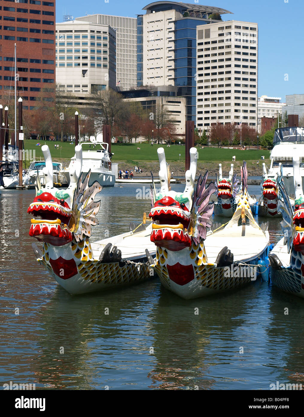 Stock photo of dragon boats docked at a Portland marina Stock Photo - Alamy