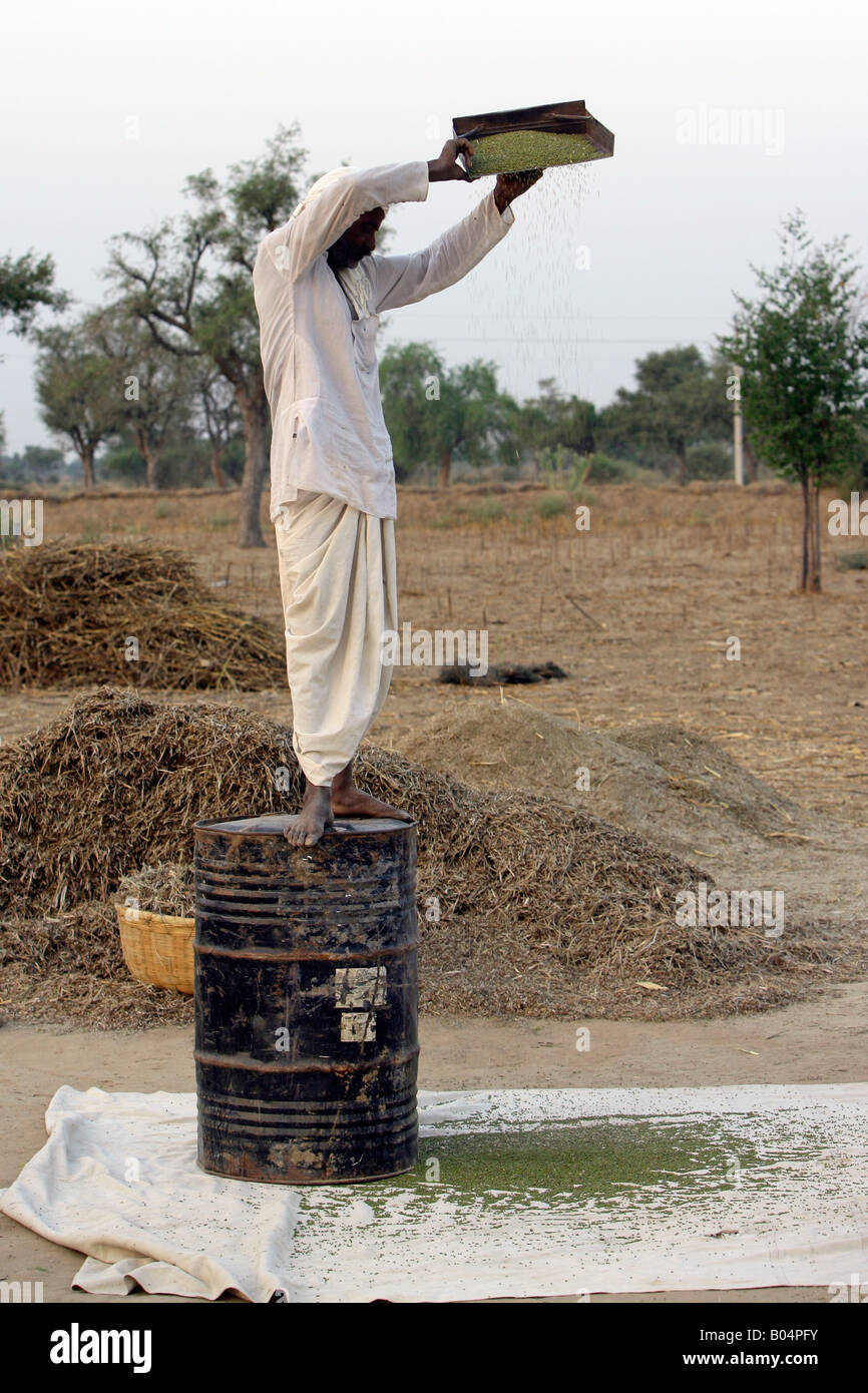 Sieving Stock Photos & Sieving Stock Images - Alamy