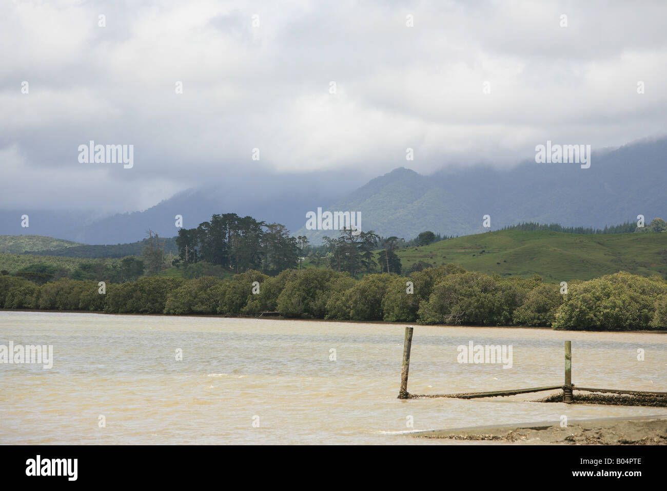 Rawene new zealand hi-res stock photography and images - Alamy