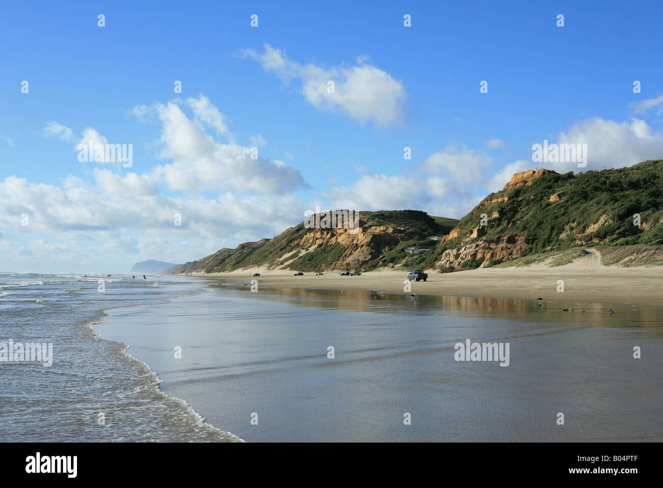Baylys or Bayly's beach North Island New Zealand Stock Photo - Alamy