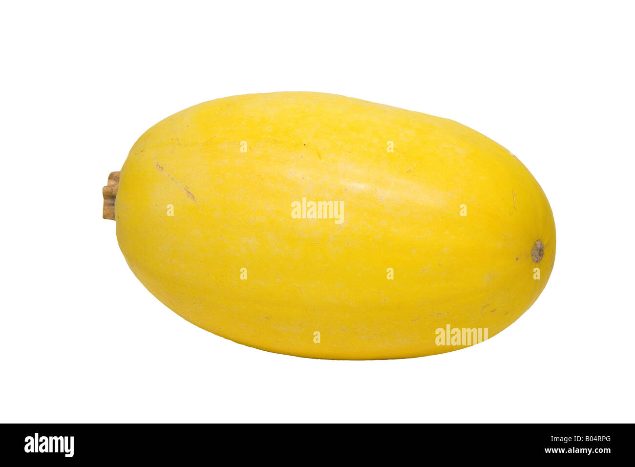 A fresh whole spaghetti squash isolated on white Stock Photo - Alamy