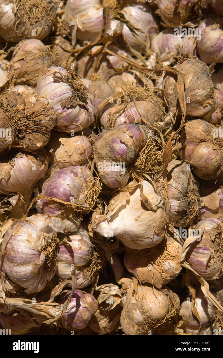 Garlic stench hi-res stock photography and images - Alamy