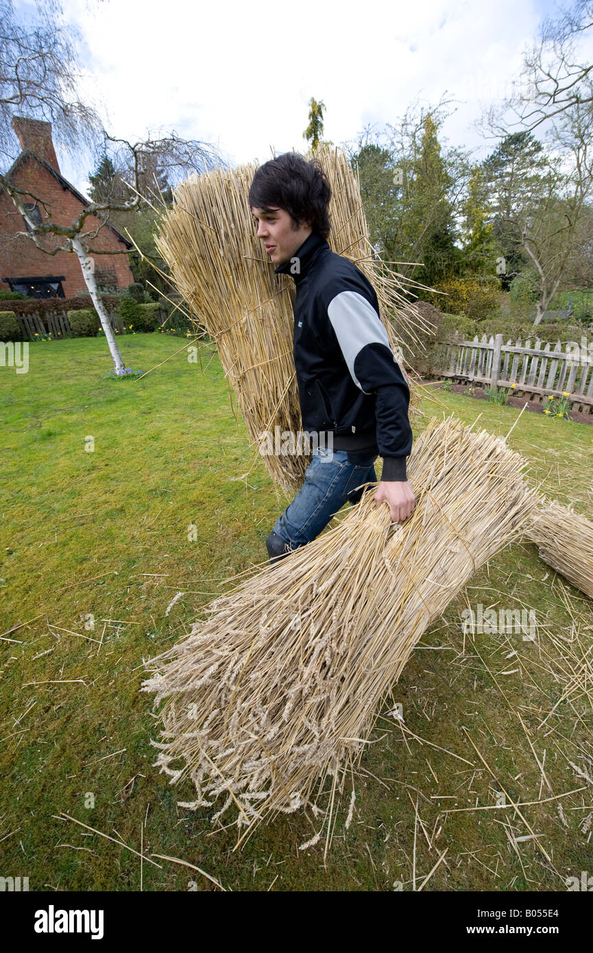 Apprentice Thatcher Jonty Jackson lifts bundles of thatching straw to ...