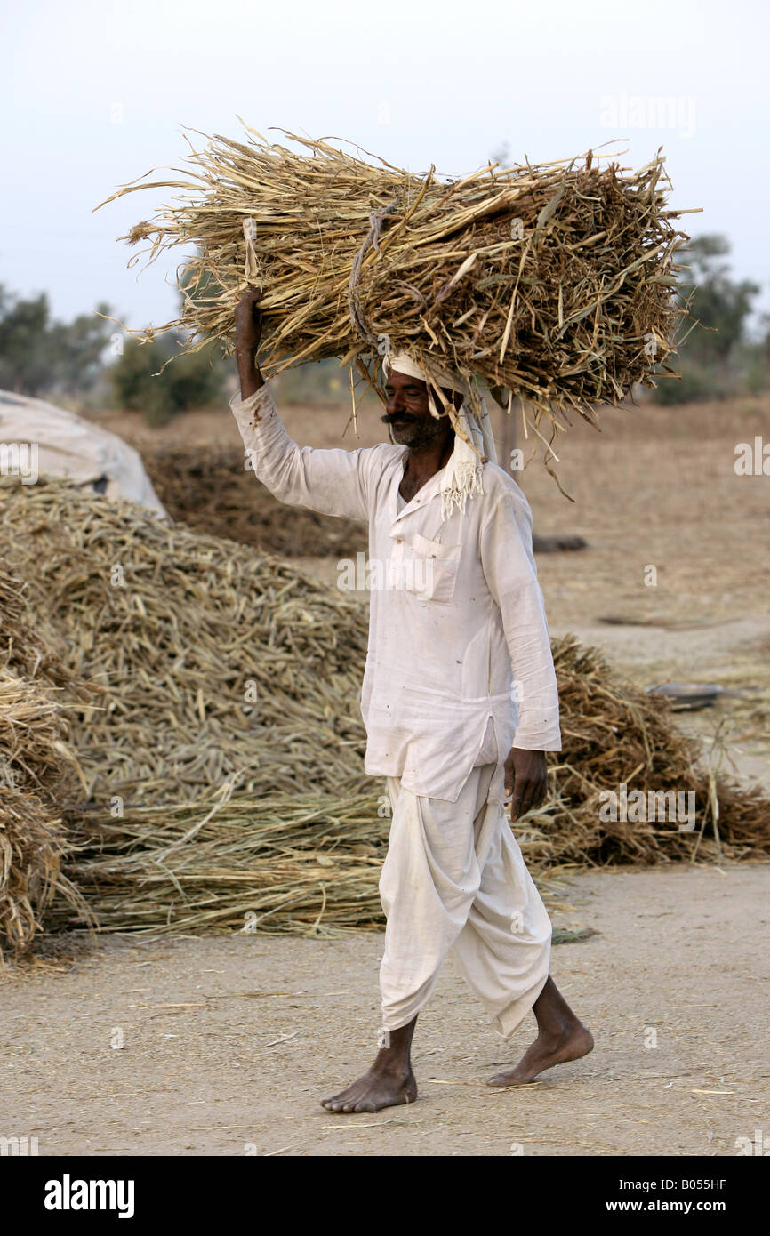 Farmer carrying crop on head hi-res stock photography and images - Alamy