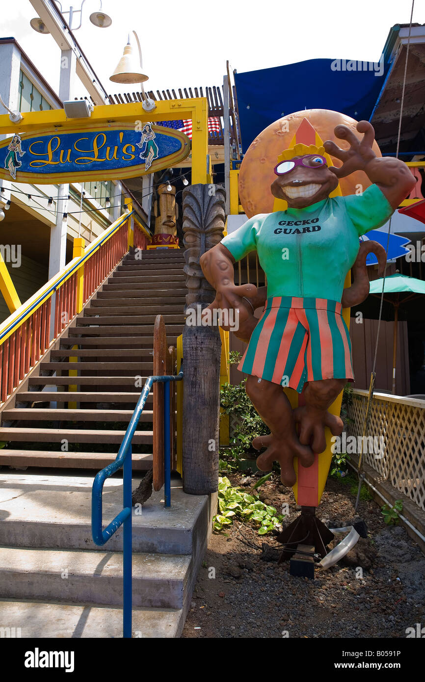 Gecko restaurant hi-res stock photography and images - Alamy